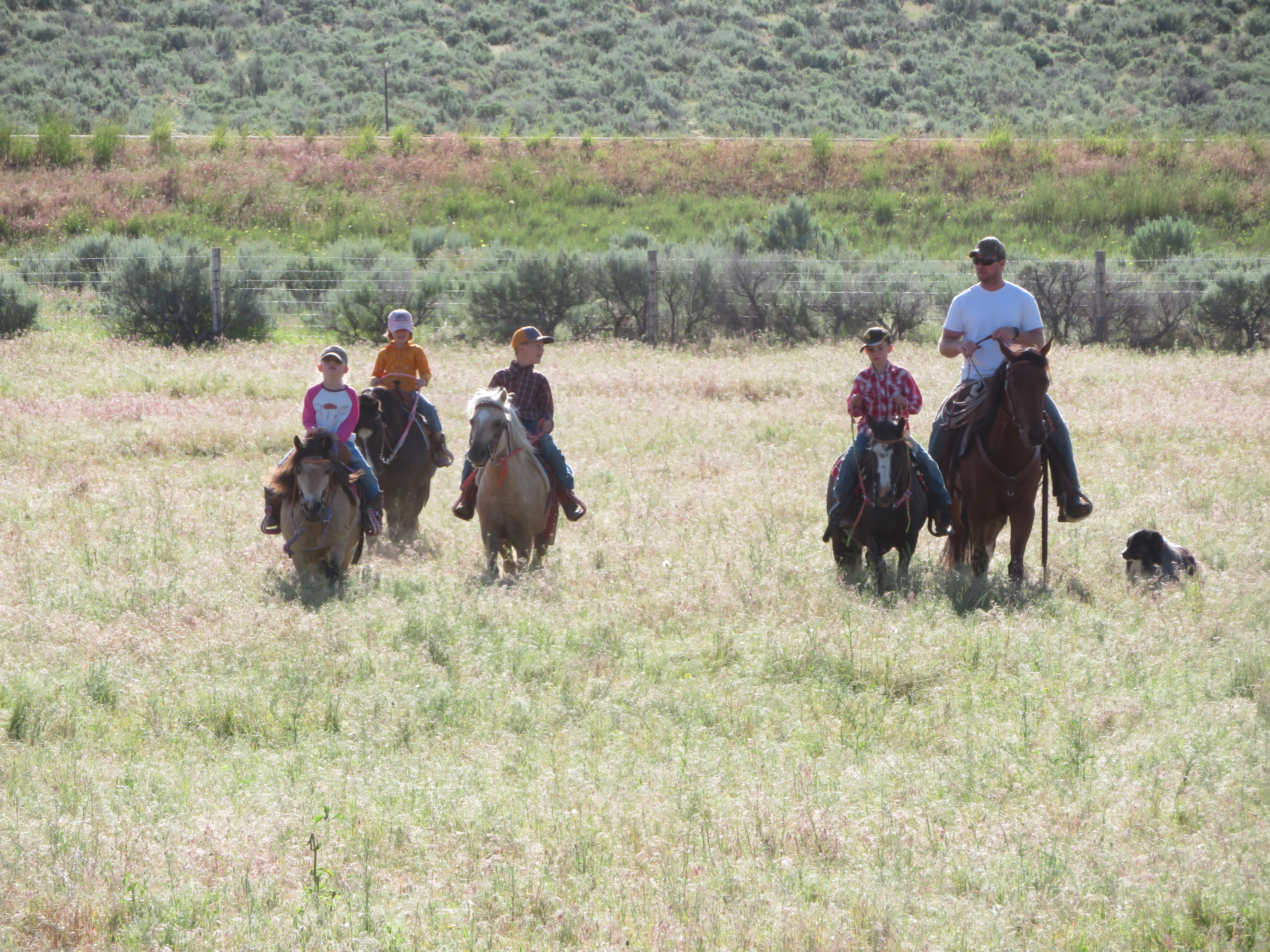 Pony Brigade