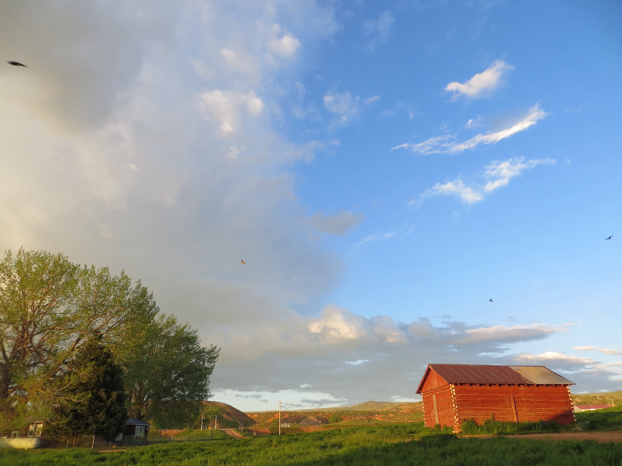 Throwback Thursday: Relish the Light, v.2.0